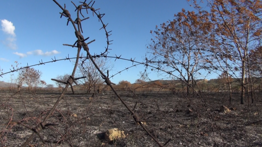 Amid Flames and Exploding Land Mines, Cuba and the US find Common ...