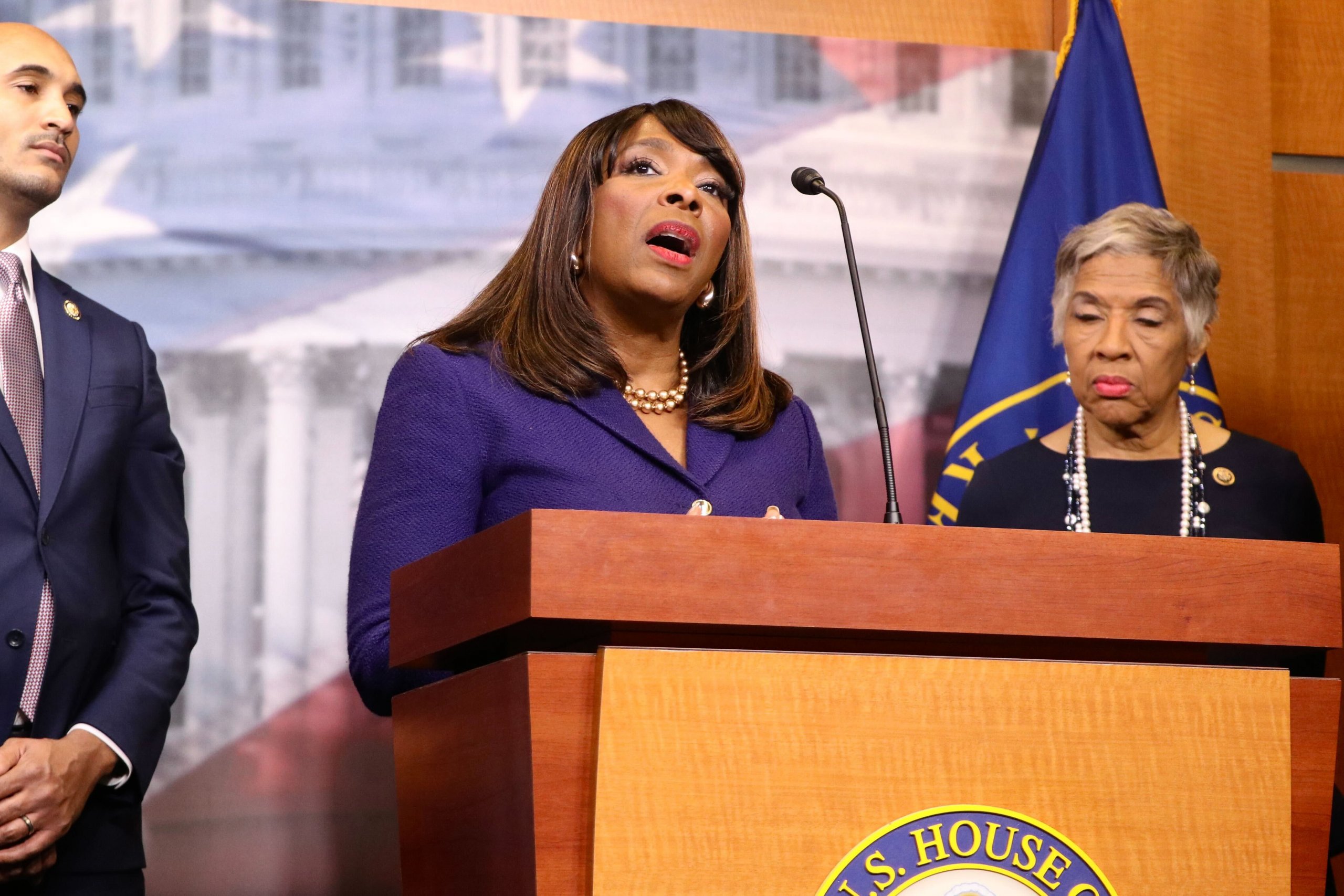 “Black History is American History”: House Democrats Introduce the Rosa ...